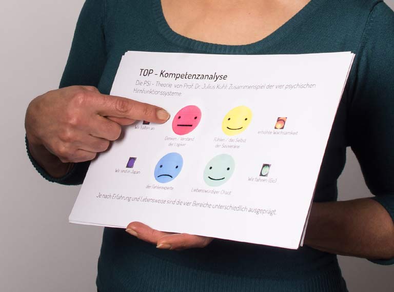 PSI-Theorie und PSI-Persönlichkeitstest • Beziehungscoaching ...