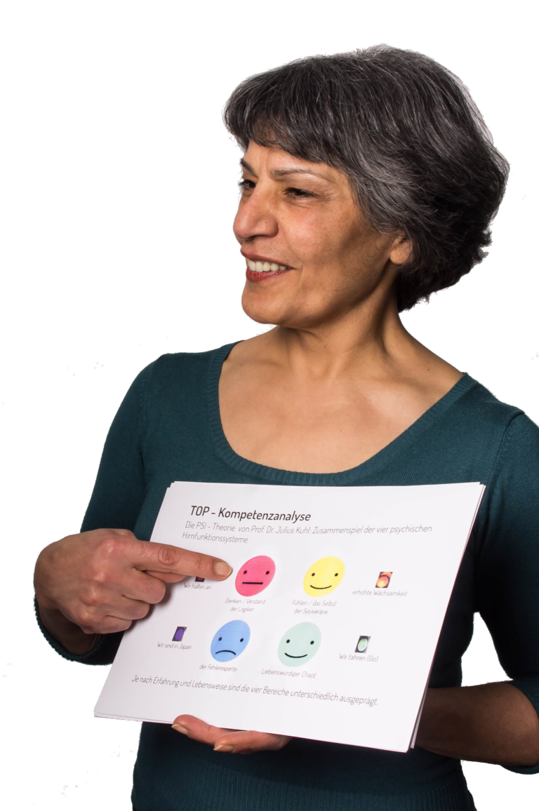 PSI-Theorie: Persönlichkeitsts-System-Interaktionen (PSI ...